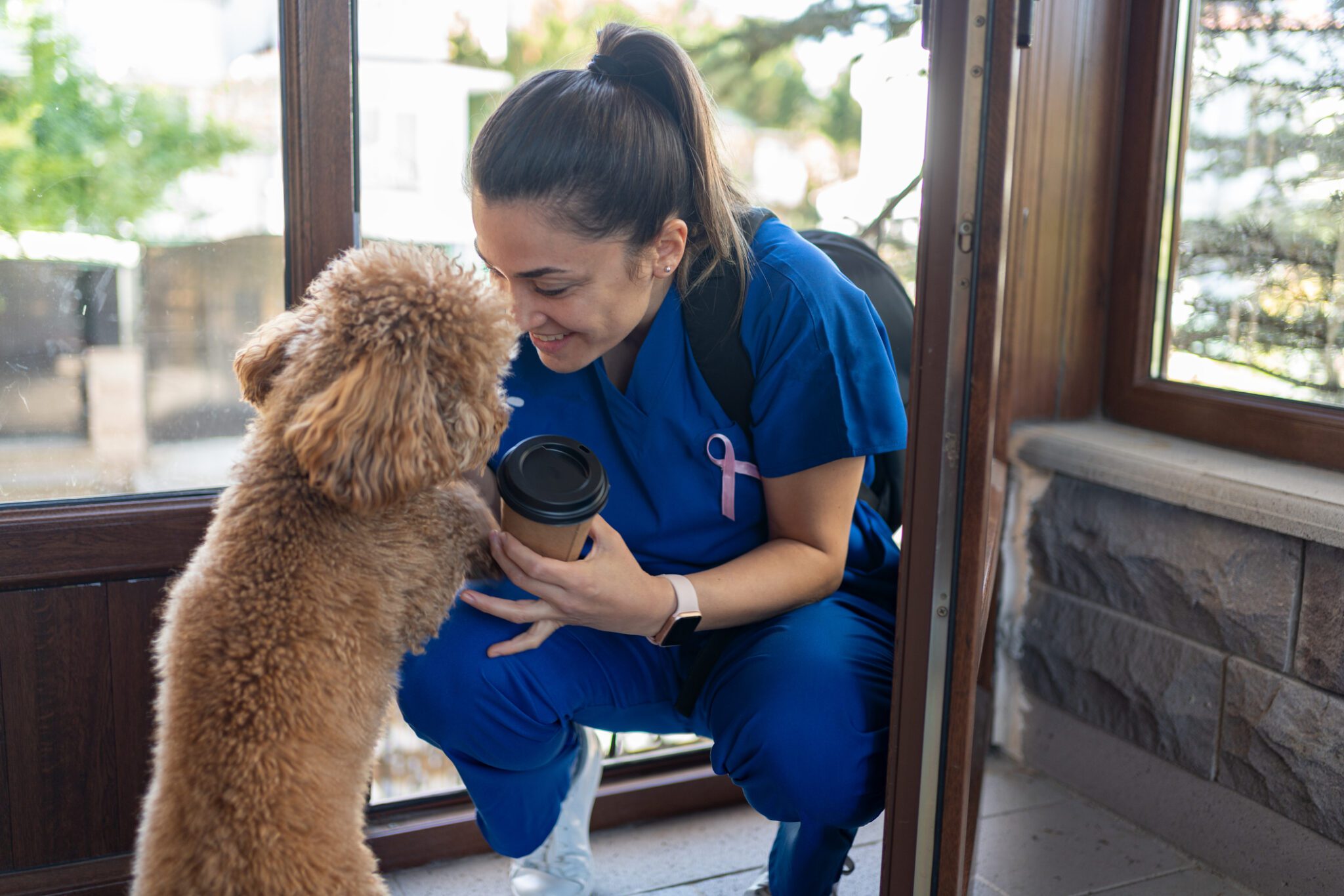 Veterinary Careers - Ginger & Nash